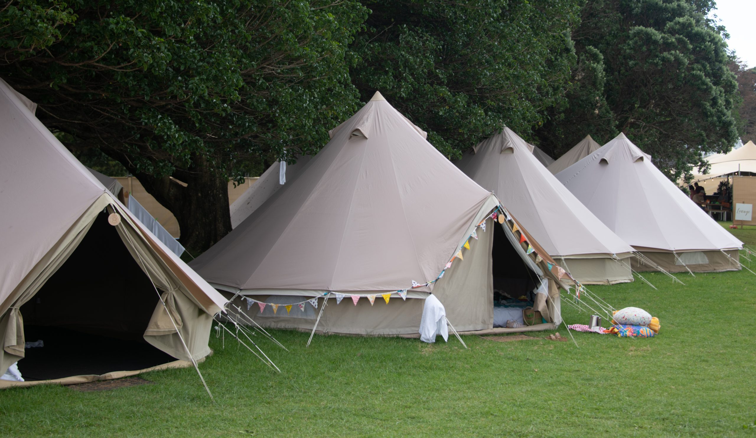 Camping Womad Aotearoa 2025 camping-womad-aotearoa-2025